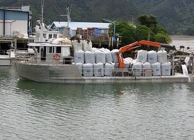 Mussel Processing - Ansco Engineering Ltd